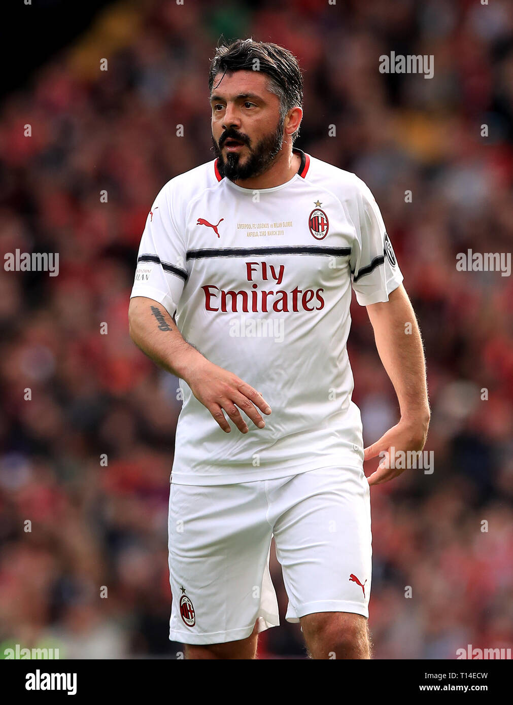 Gennaro Gattuso Stock Photos & Gennaro Gattuso Stock Images - Alamy