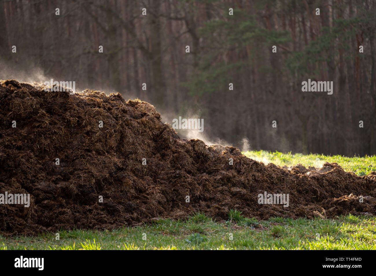 Pile Of Manure High Resolution Stock Photography and Images - Alamy