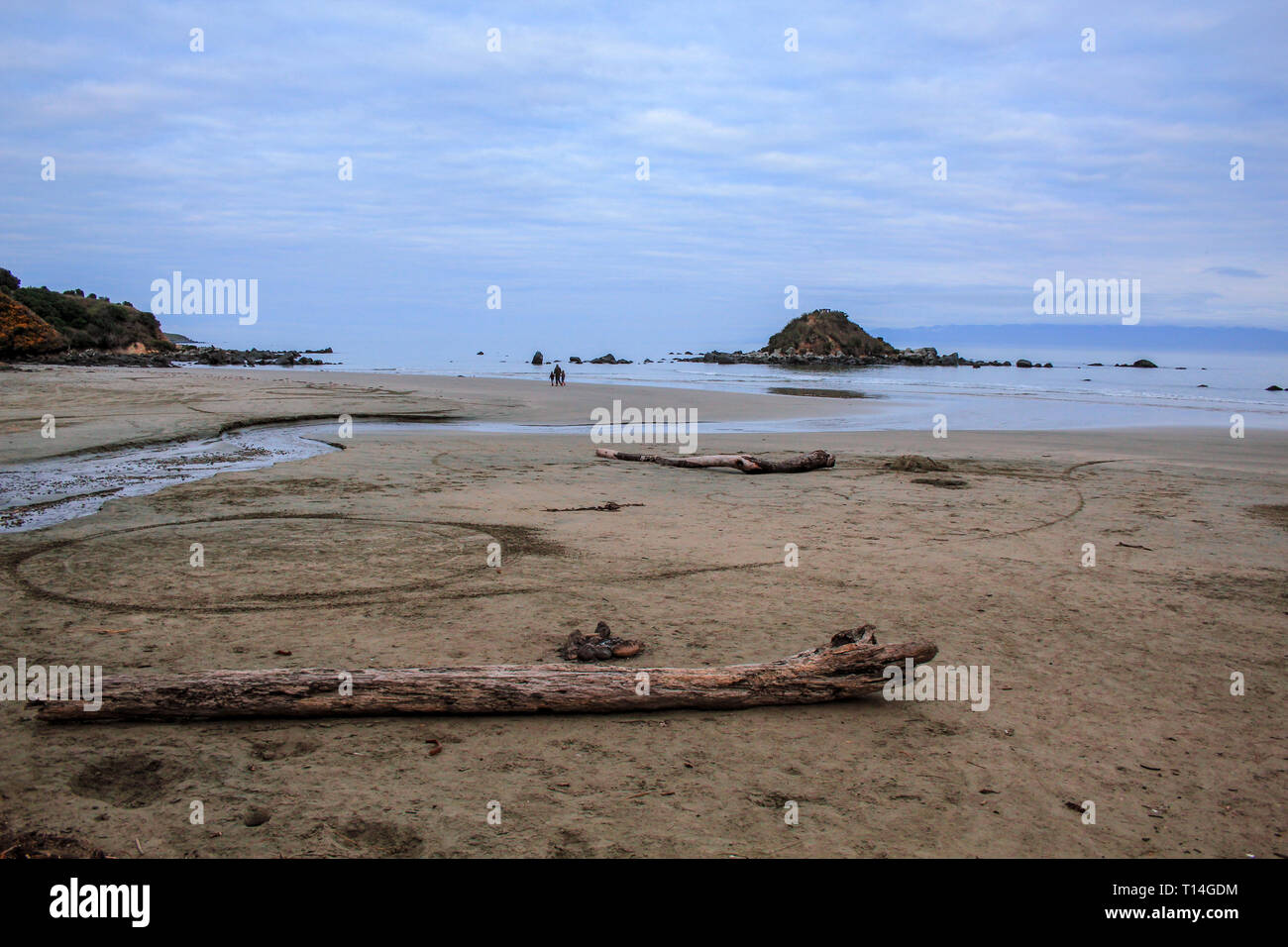 Monkey island beach new zealand hi-res stock photography and images - Alamy
