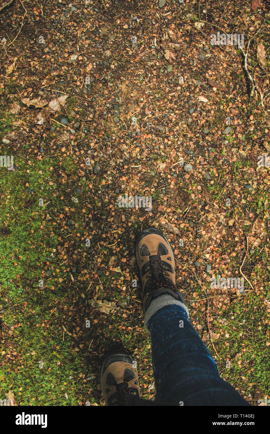 Walking on forest ground hi-res stock photography and images - Alamy