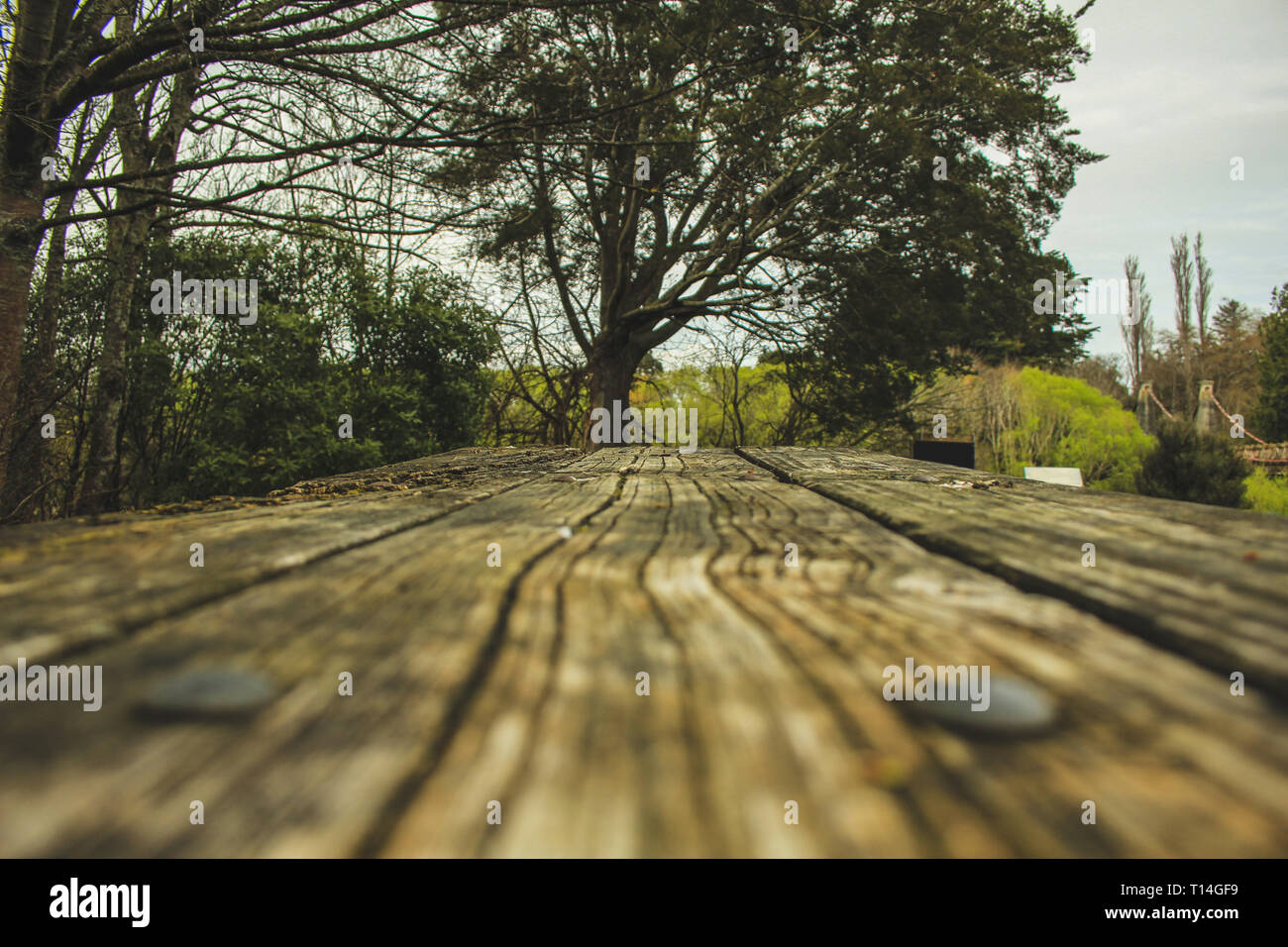 wooden table in nature environment as background Stock Photo - Alamy