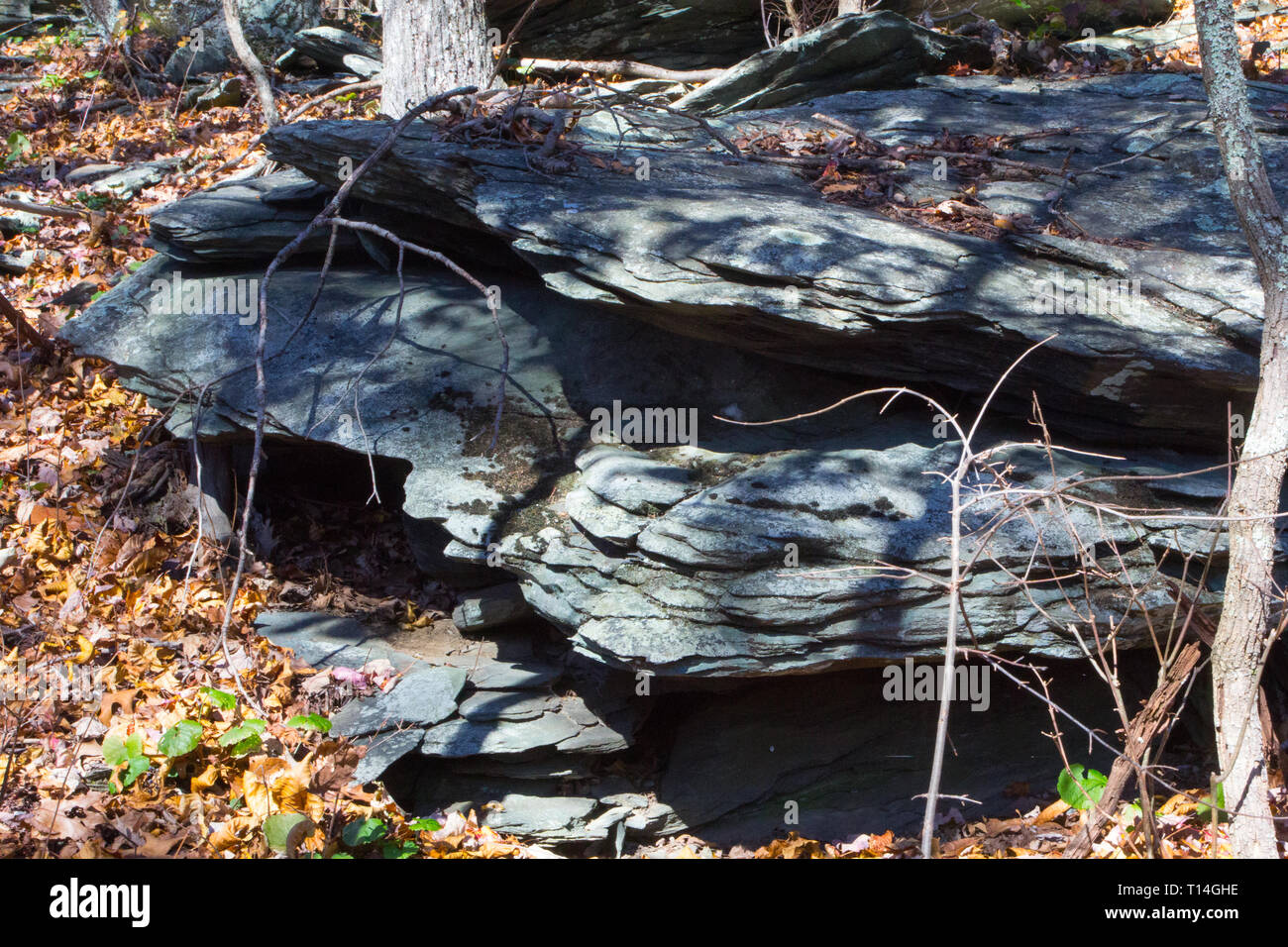 Rocks in Shenandoah National Park in Autumn, Virginia Stock Photo - Alamy