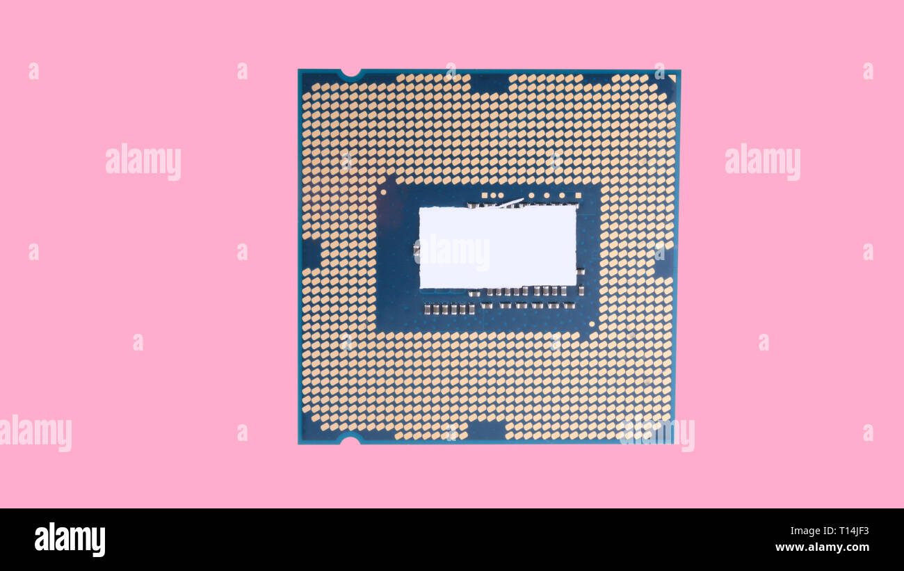 central Processor unit isolated on pink background at dry sunny day ...