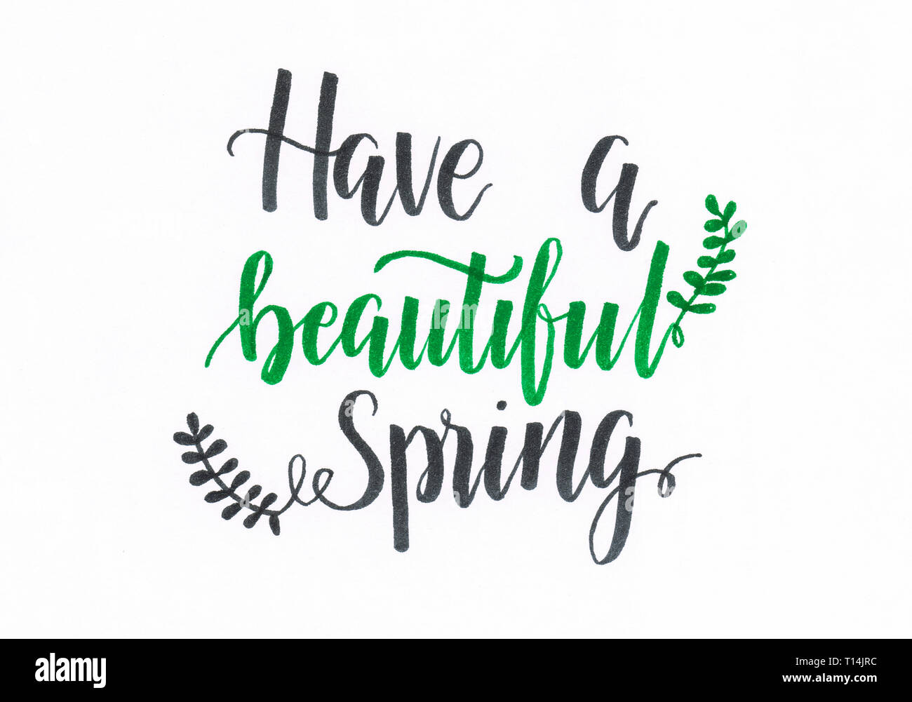 Have a beautiful Spring - hand lettering inscription in green and black ...