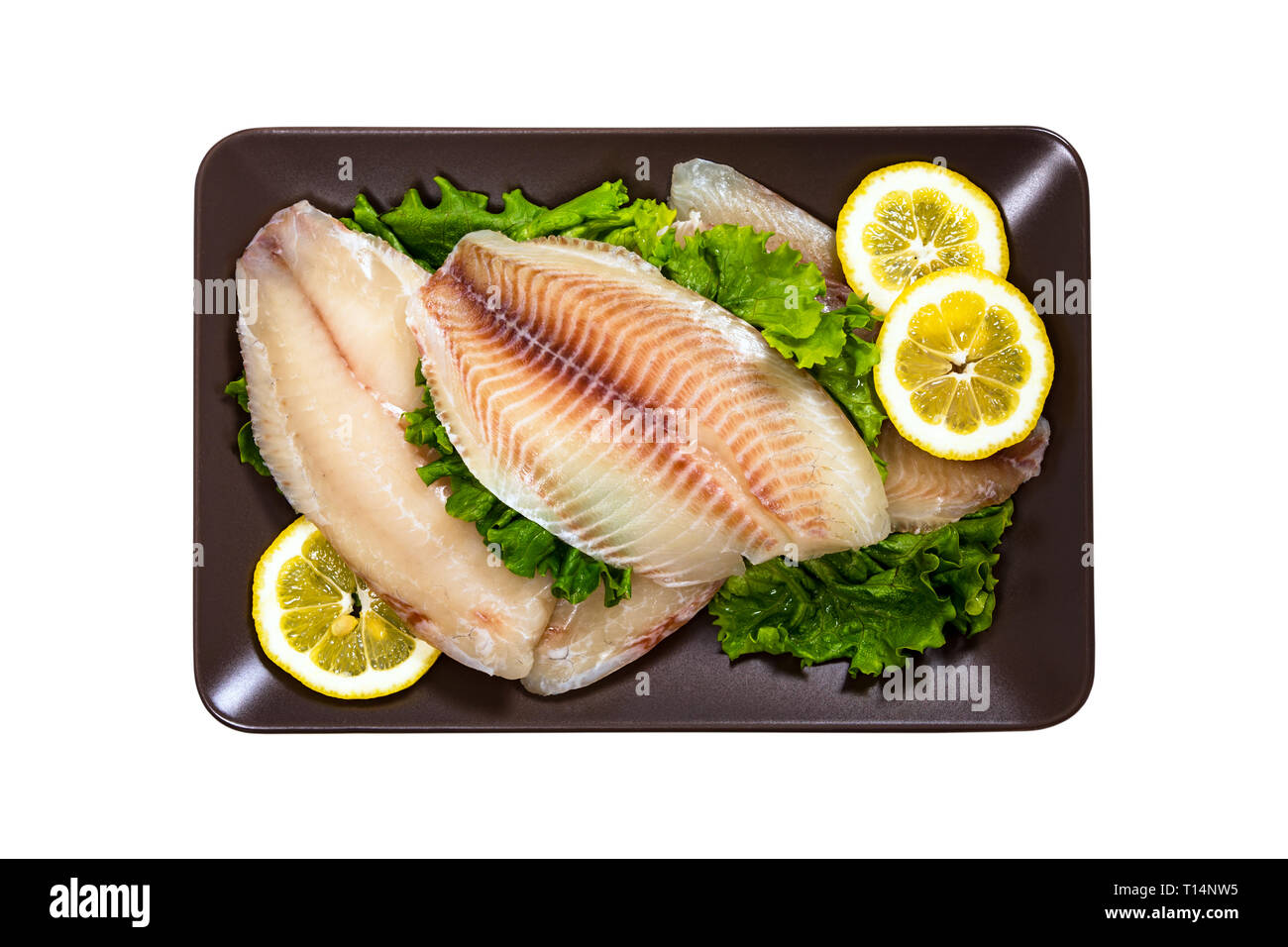 Catfish on white background hi-res stock photography and images - Alamy
