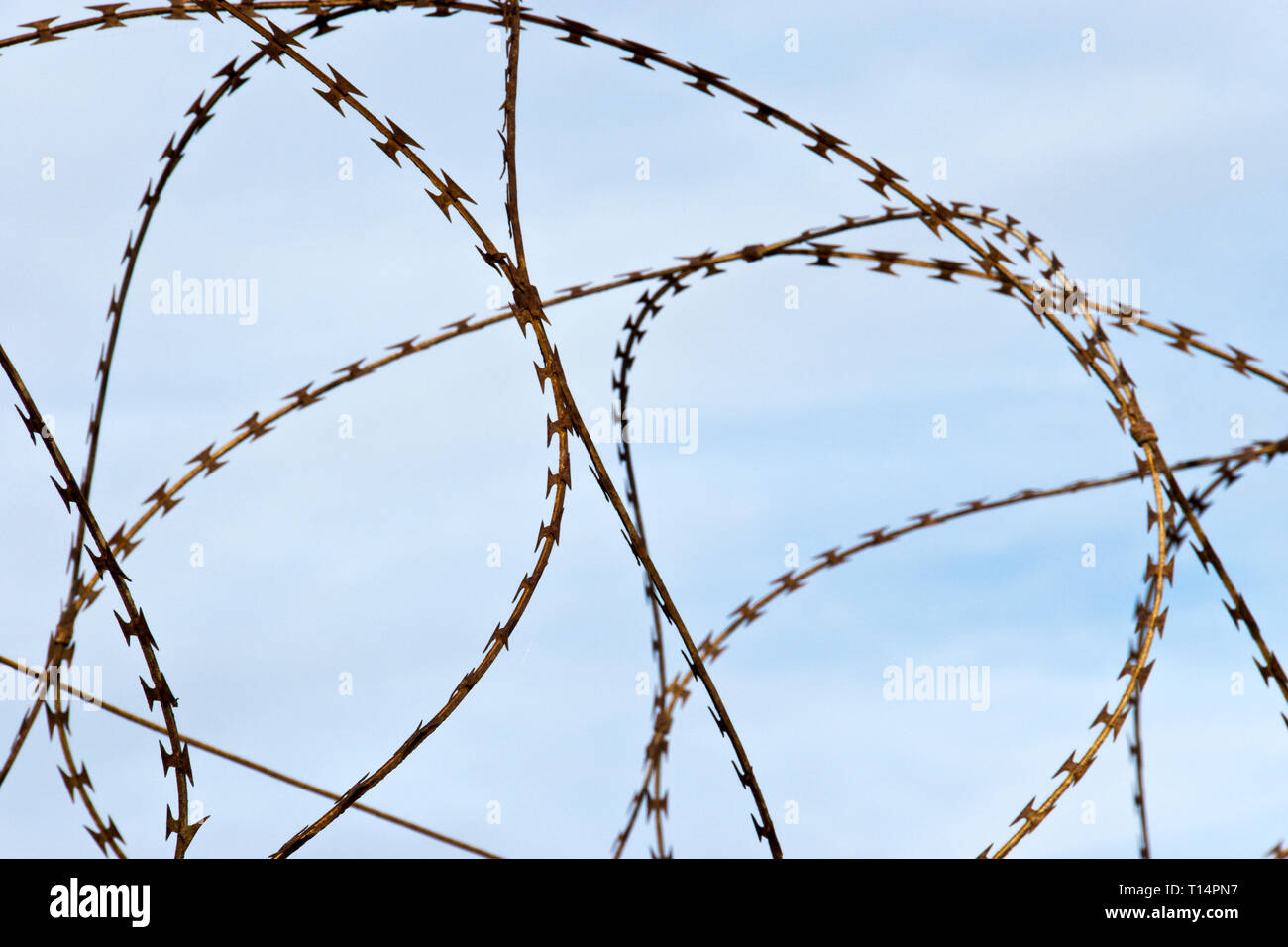 Barbed wire south africa High Resolution Stock Photography and Images ...