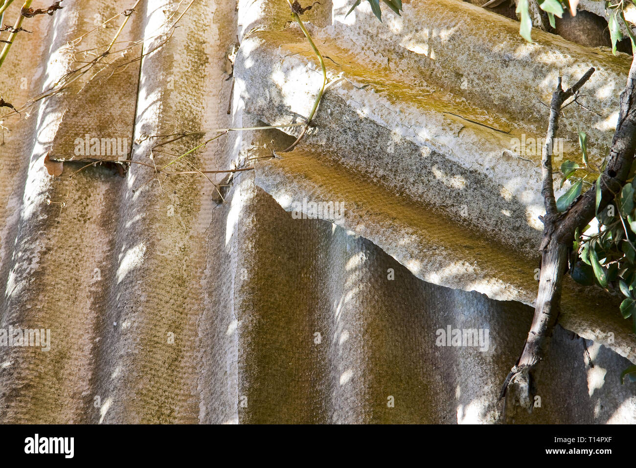 Illegal asbestos Dumping Medical studies have shown that the asbestos ...