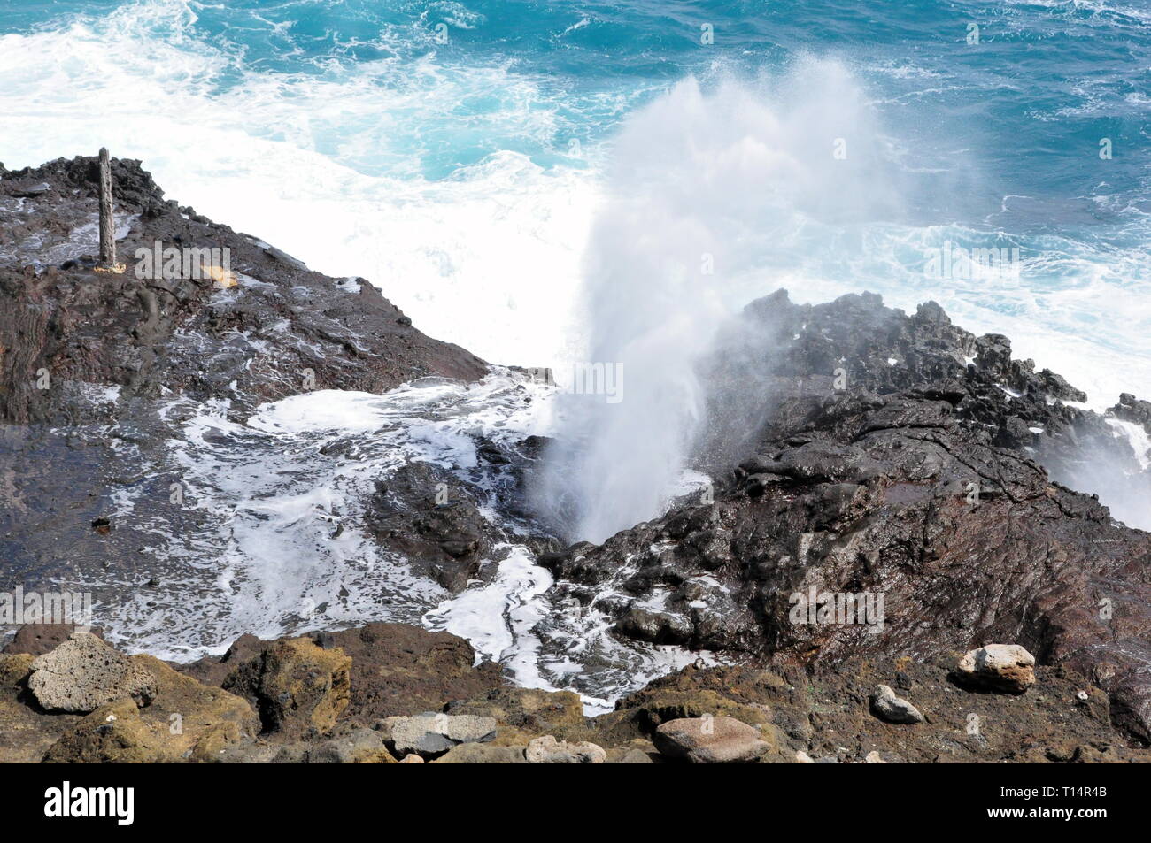 Halona blowhole hi-res stock photography and images - Alamy