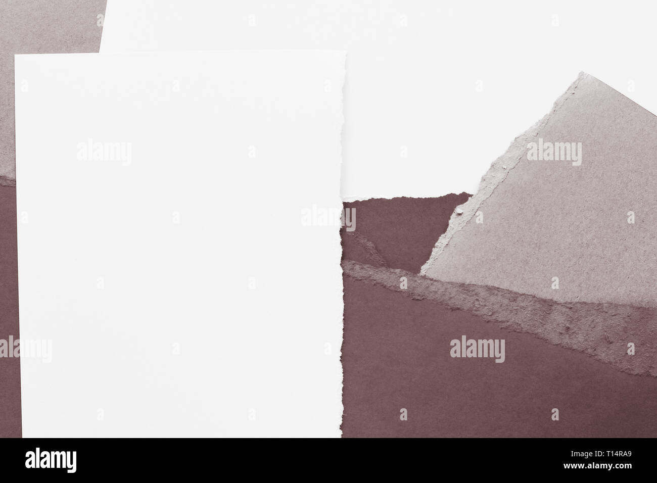 Torn paper texture as background. Creativity takes time Stock Photo - Alamy