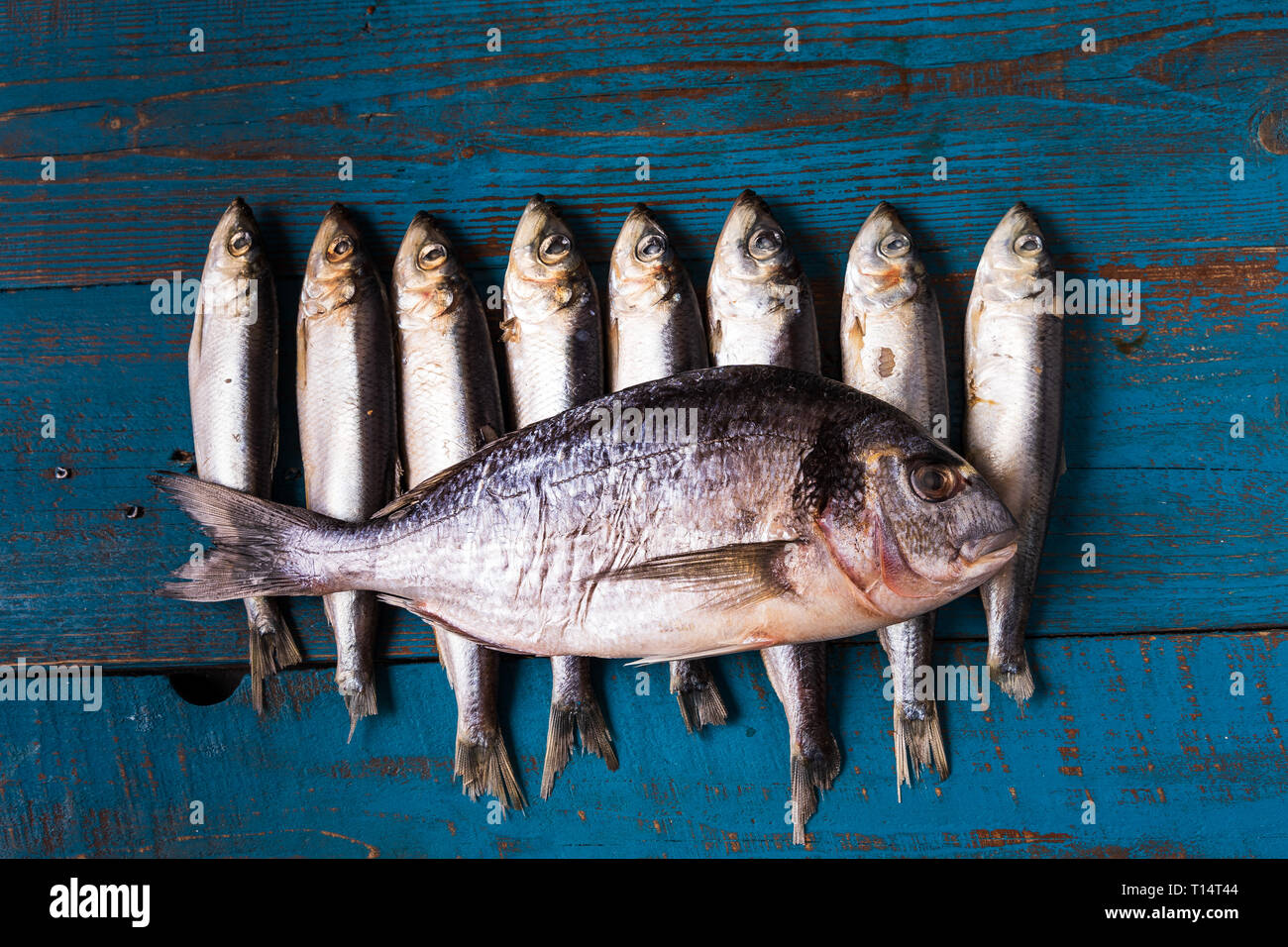 Rustic style. Fish pattern. Herring fish on an old blue wooden ...