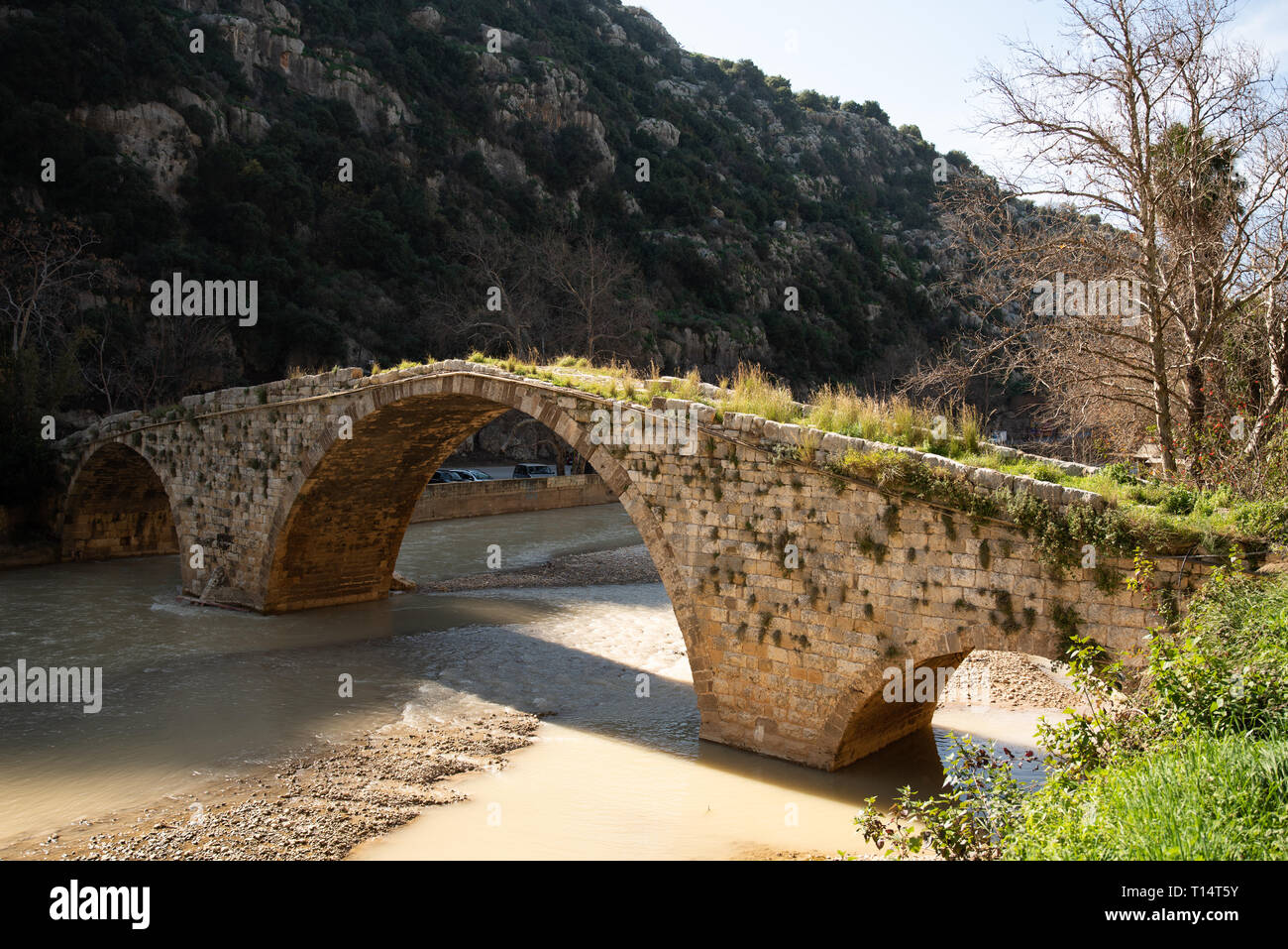 A medieval stone bridge built by Sultan Makluk archs over the Nahr al ...