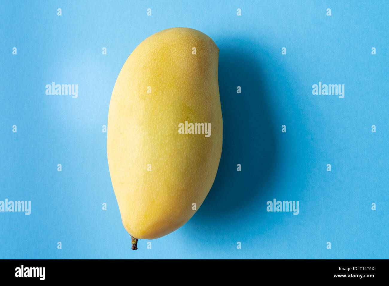 Top view the Ripe sweet yellow mango fruit on blue background and copy ...