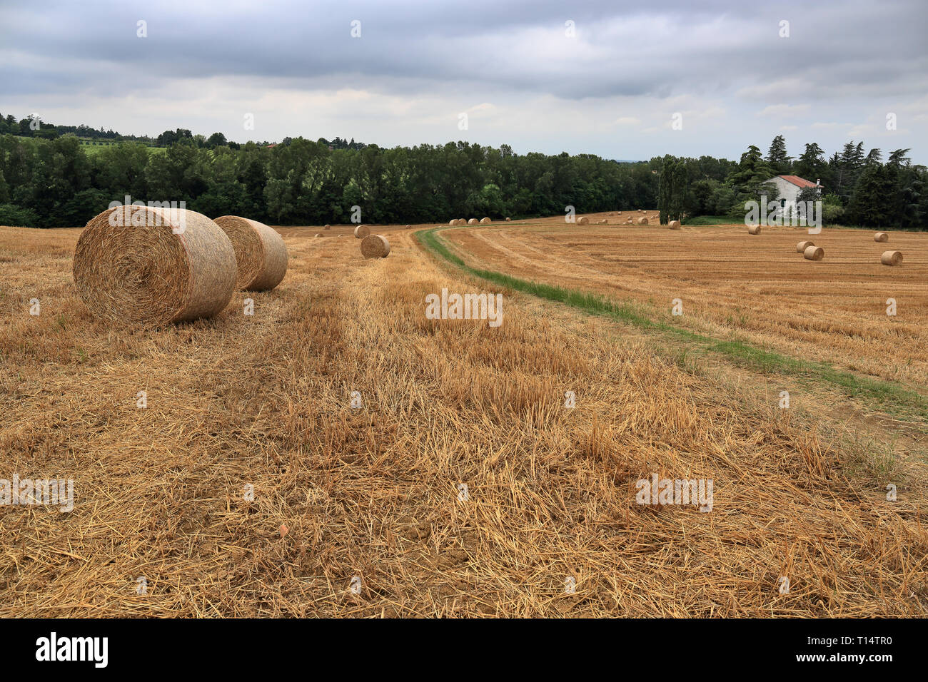 Old typical Tuscan farmhouse in Italy Stock Photo - Alamy