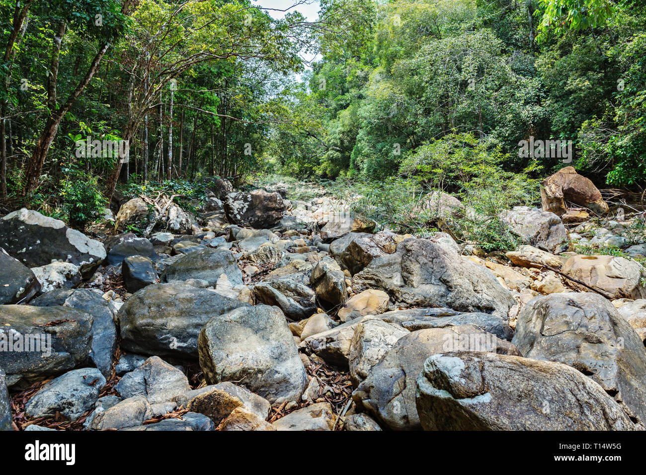 Boulders in the riverbed in the tropical jungles of South East Asia ...