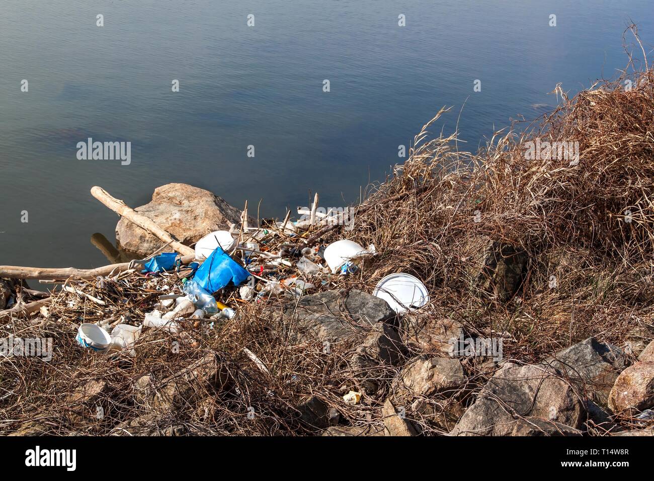 Plastic waste on the lake shore in the Czech Republic. Environmental ...