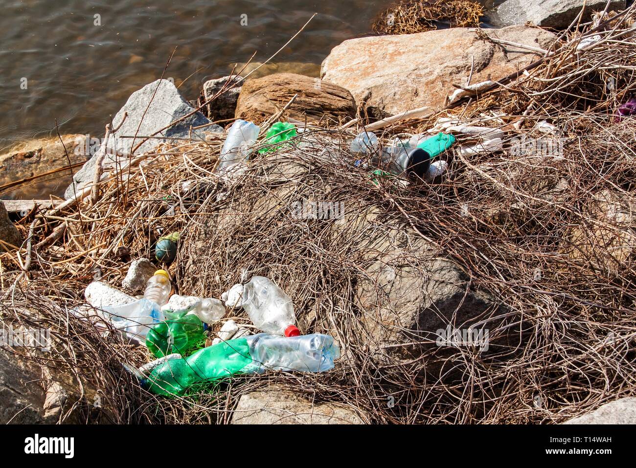 Plastic waste on the lake shore in the Czech Republic. Environmental ...