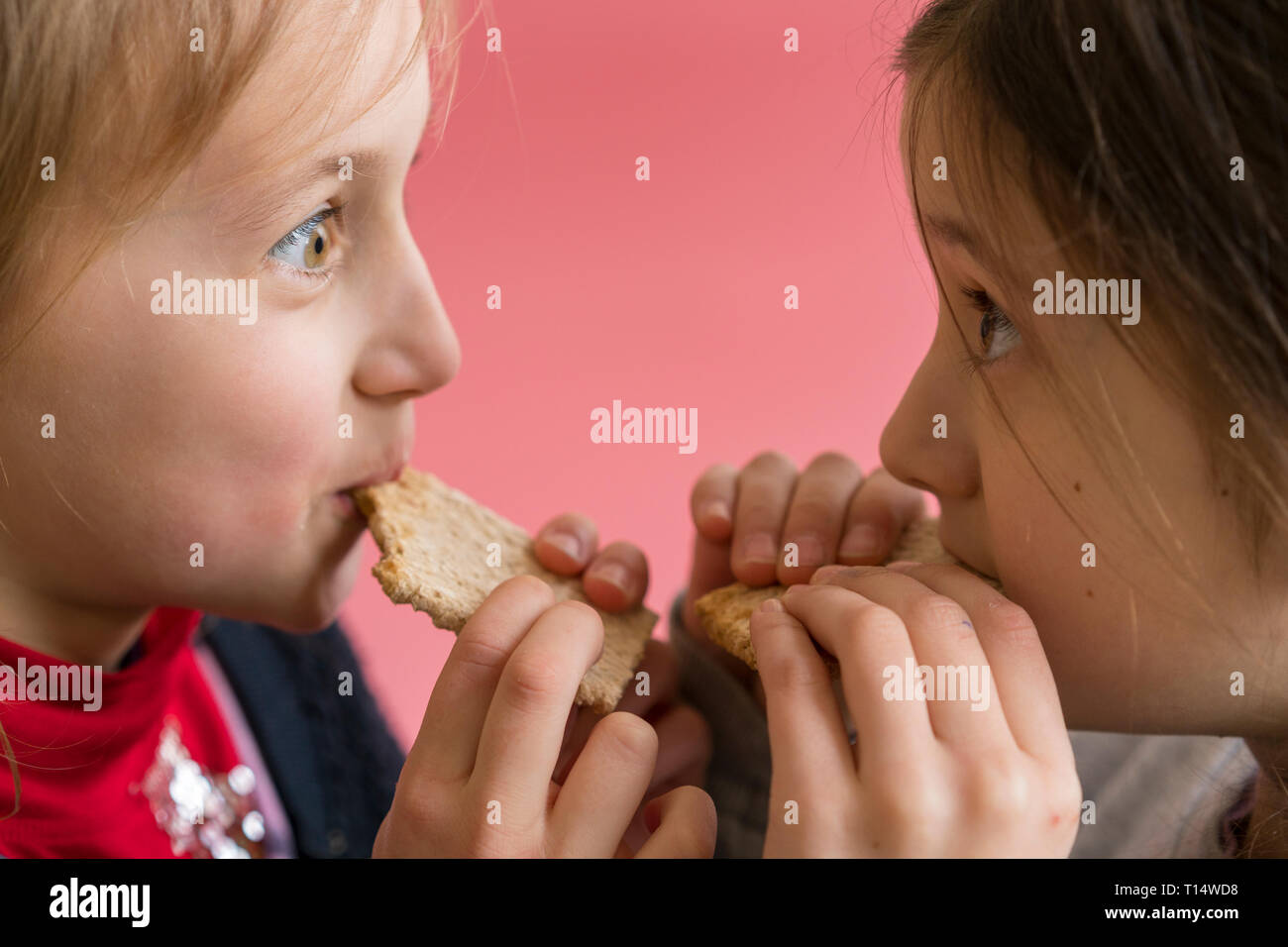 concept kids fighting for food. girls bite one slice of bread. Food ...