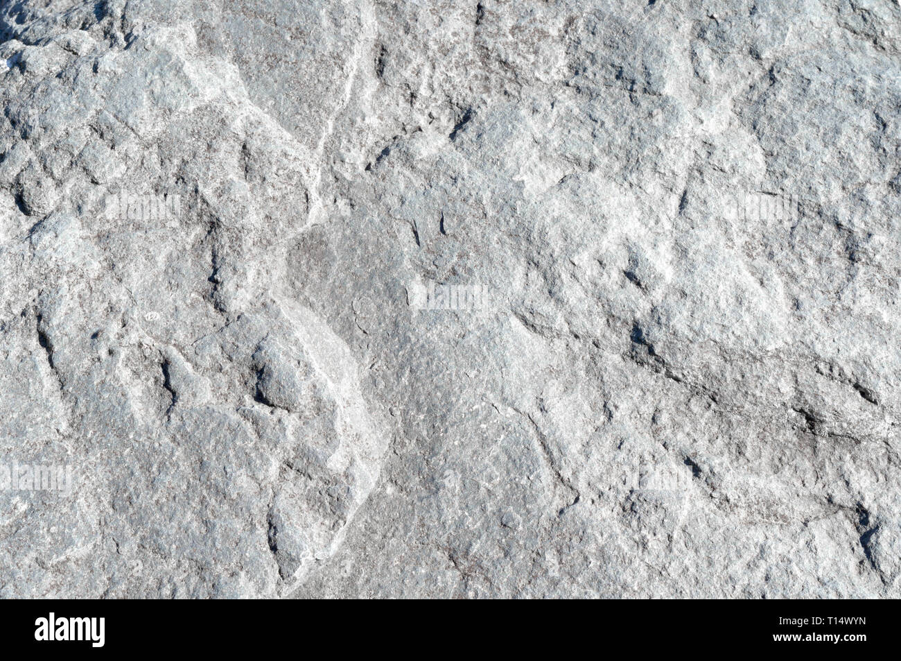 Quartz plaster texture background hi-res stock photography and images ...