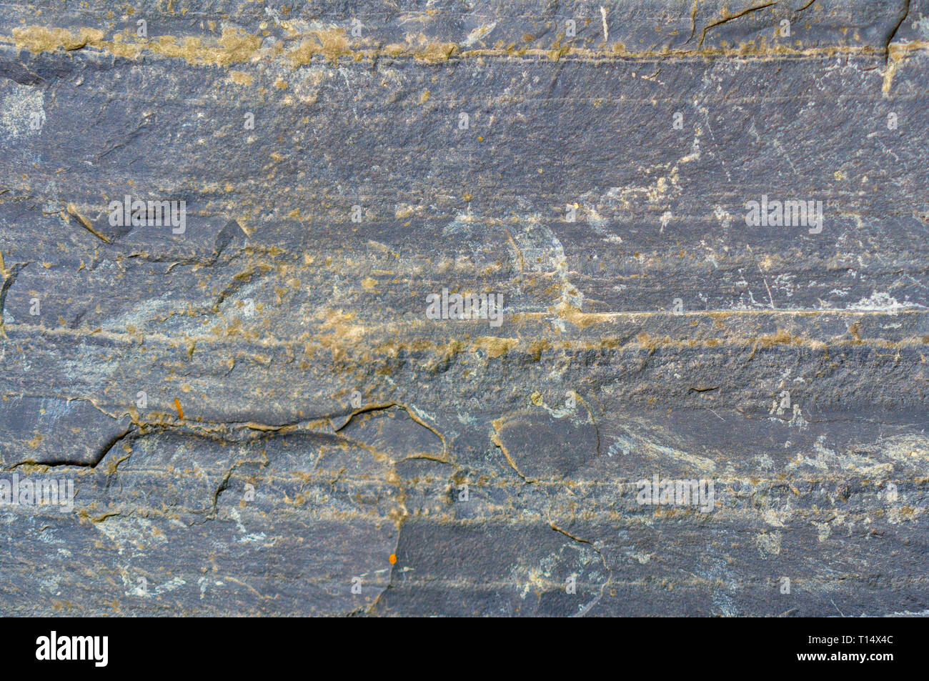 natural mineral stone - raw shungite mineral Stock Photo - Alamy