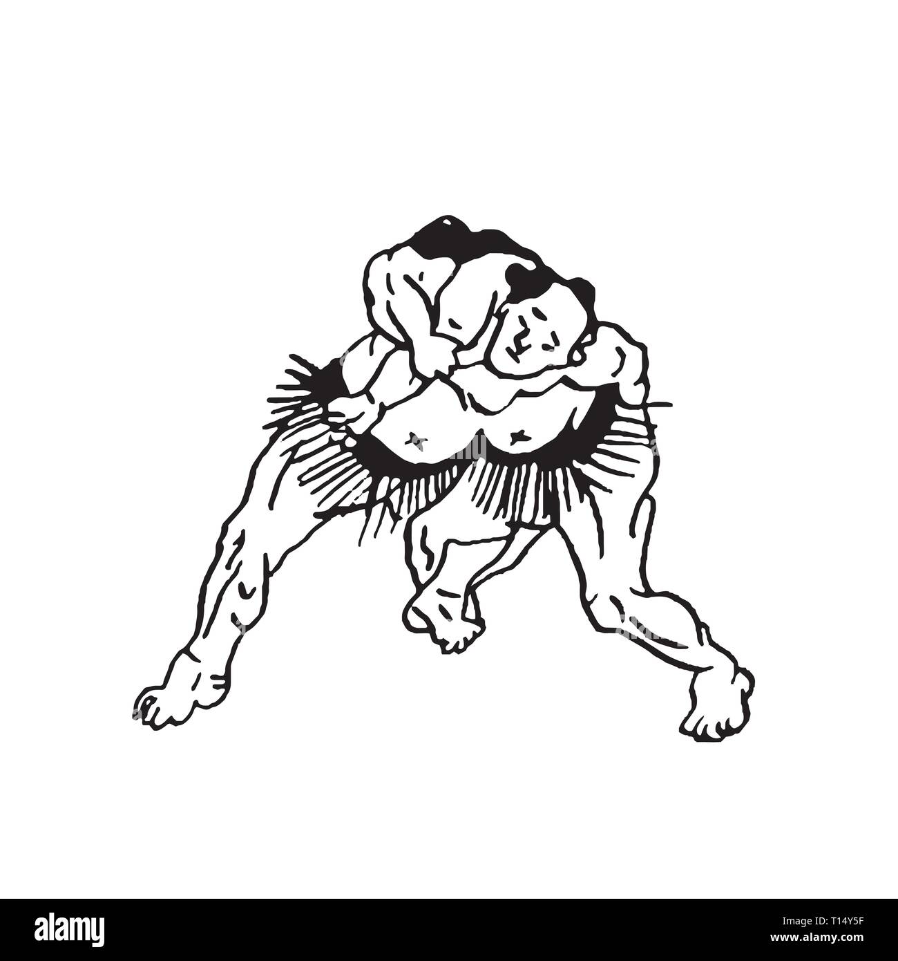 Hand drawn illustration of sumo man wrestlers fight on white background ...