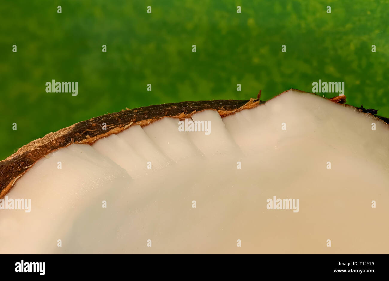 coconut close up background, concept healthy food and low fat nutrition ...