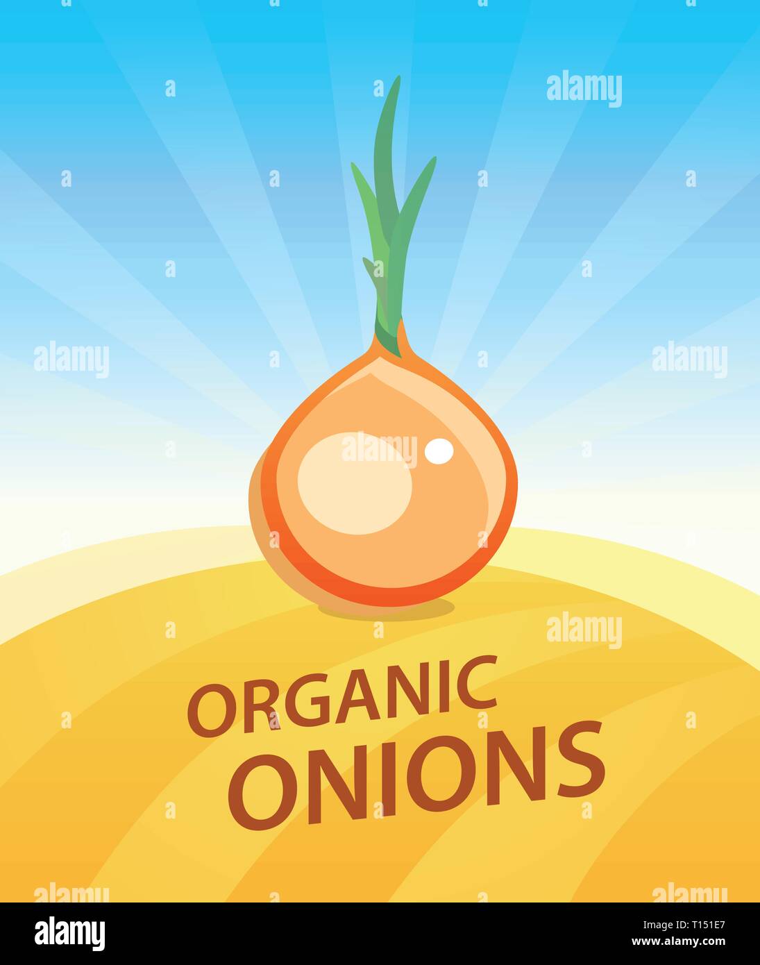 Banner template with Onion - Vegetables trade poster. Ads Placard with ...