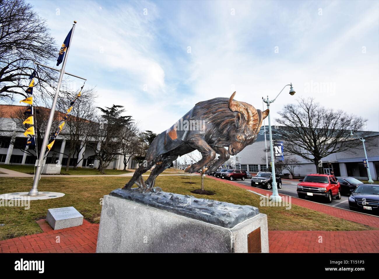 United States Naval Academy mascot, run by the Navy Stock Photo - Alamy