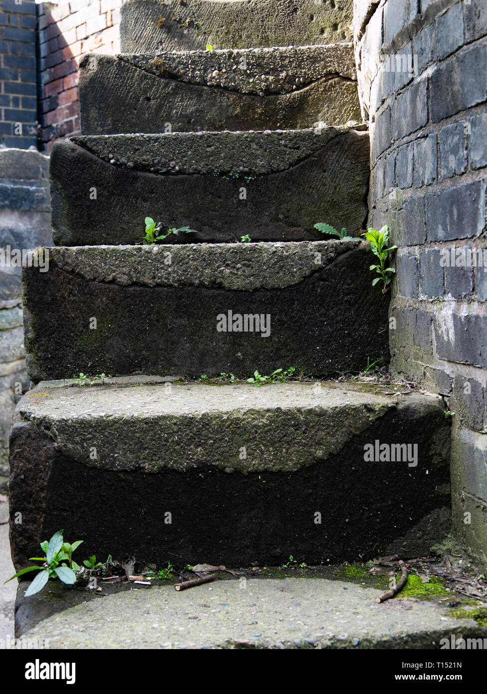 Stone steps leading up to a canal lock, Trent and Mersey Canal, Stoke ...