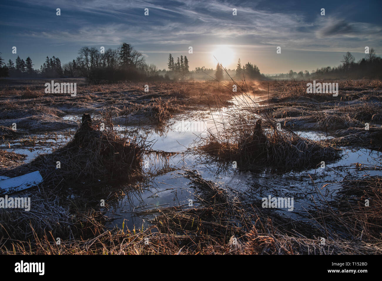Spectacular beautiful sky in the early foggy winter morning Stock Photo ...