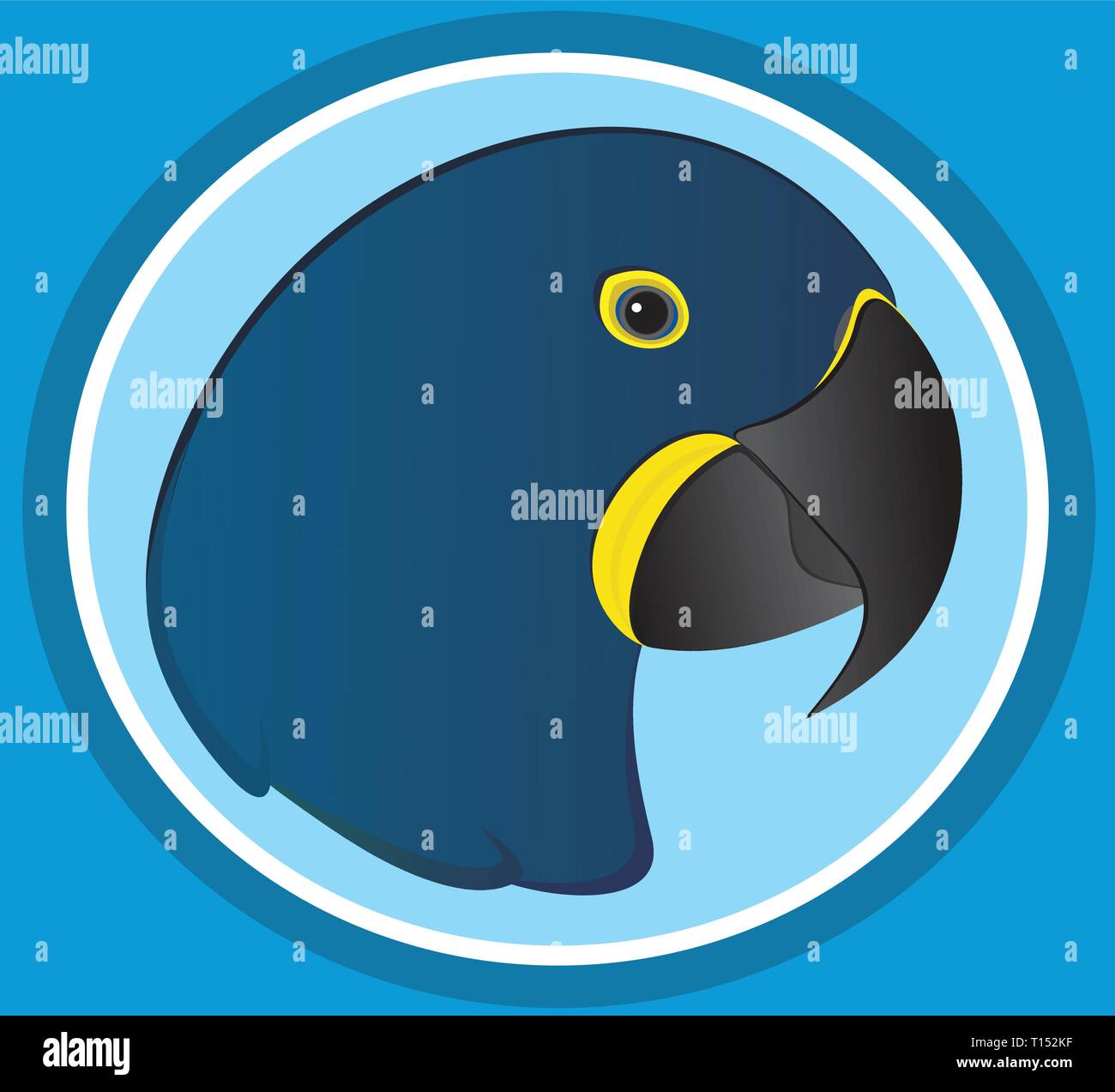 Blue headed bird Stock Vector Images - Alamy