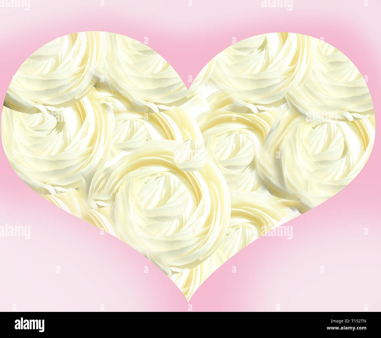 Cream heart, filled with white creamy blossoms. Inner blossoms have a ...