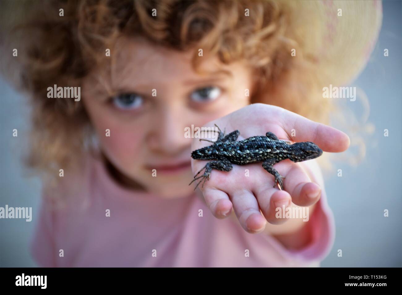 Captured Lizard High Resolution Stock Photography and Images - Alamy
