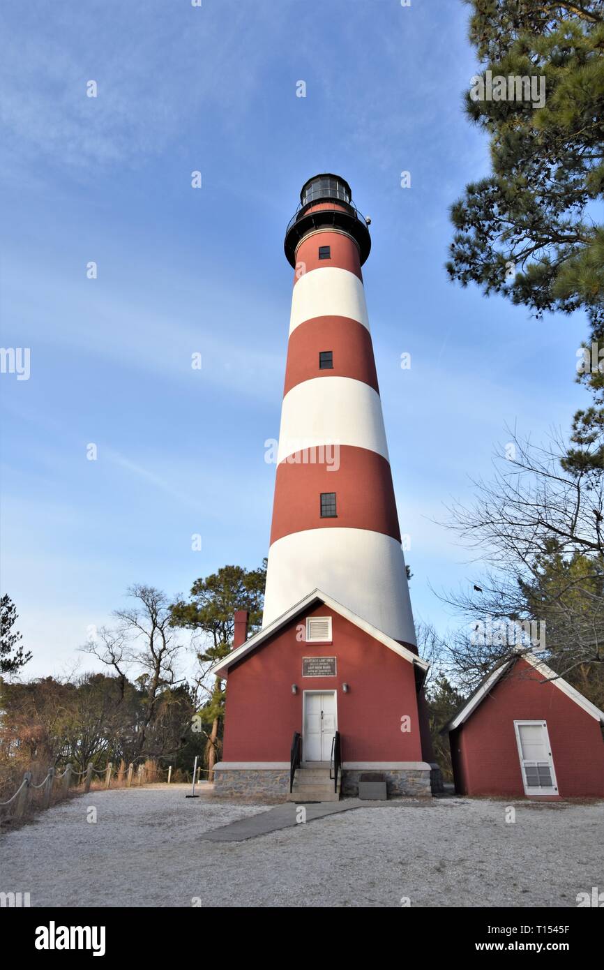 Assateague Maryland Lighthouse without pony herd Stock Photo - Alamy
