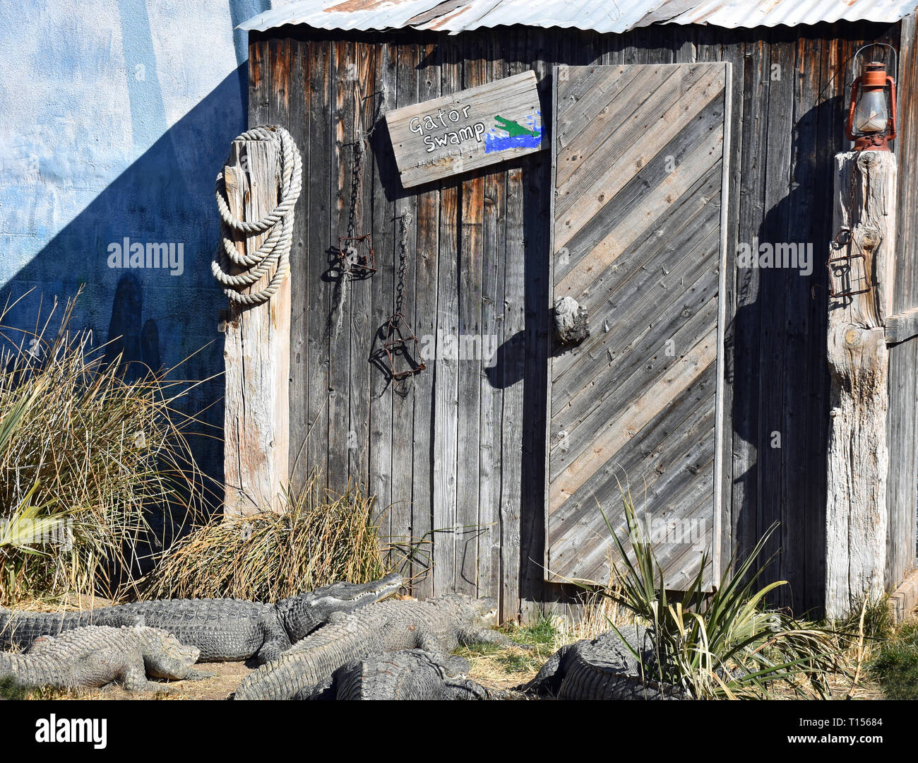 Trapping shack hi-res stock photography and images - Alamy