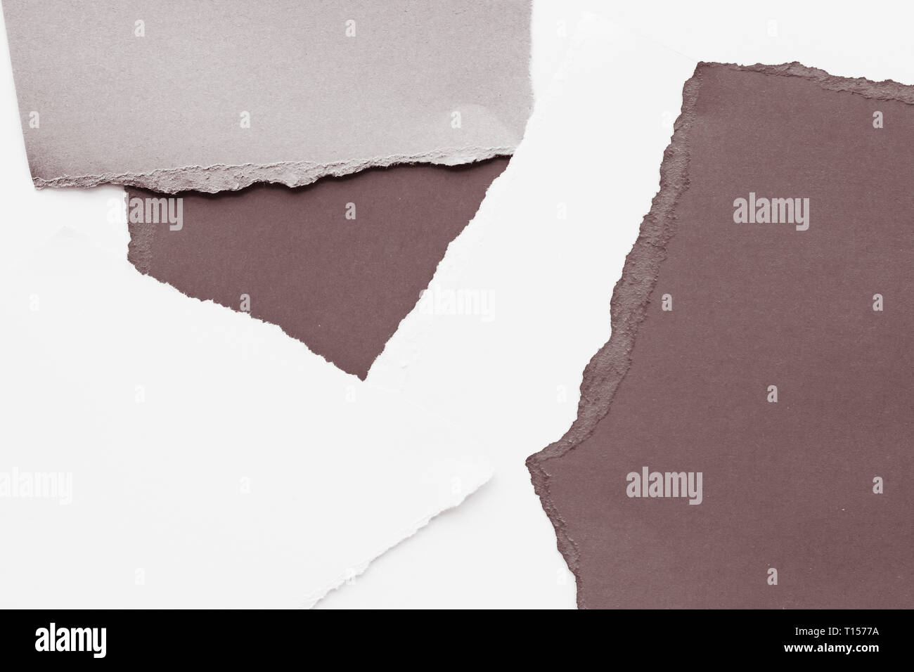 Torn paper texture as background. Creativity takes time Stock Photo - Alamy