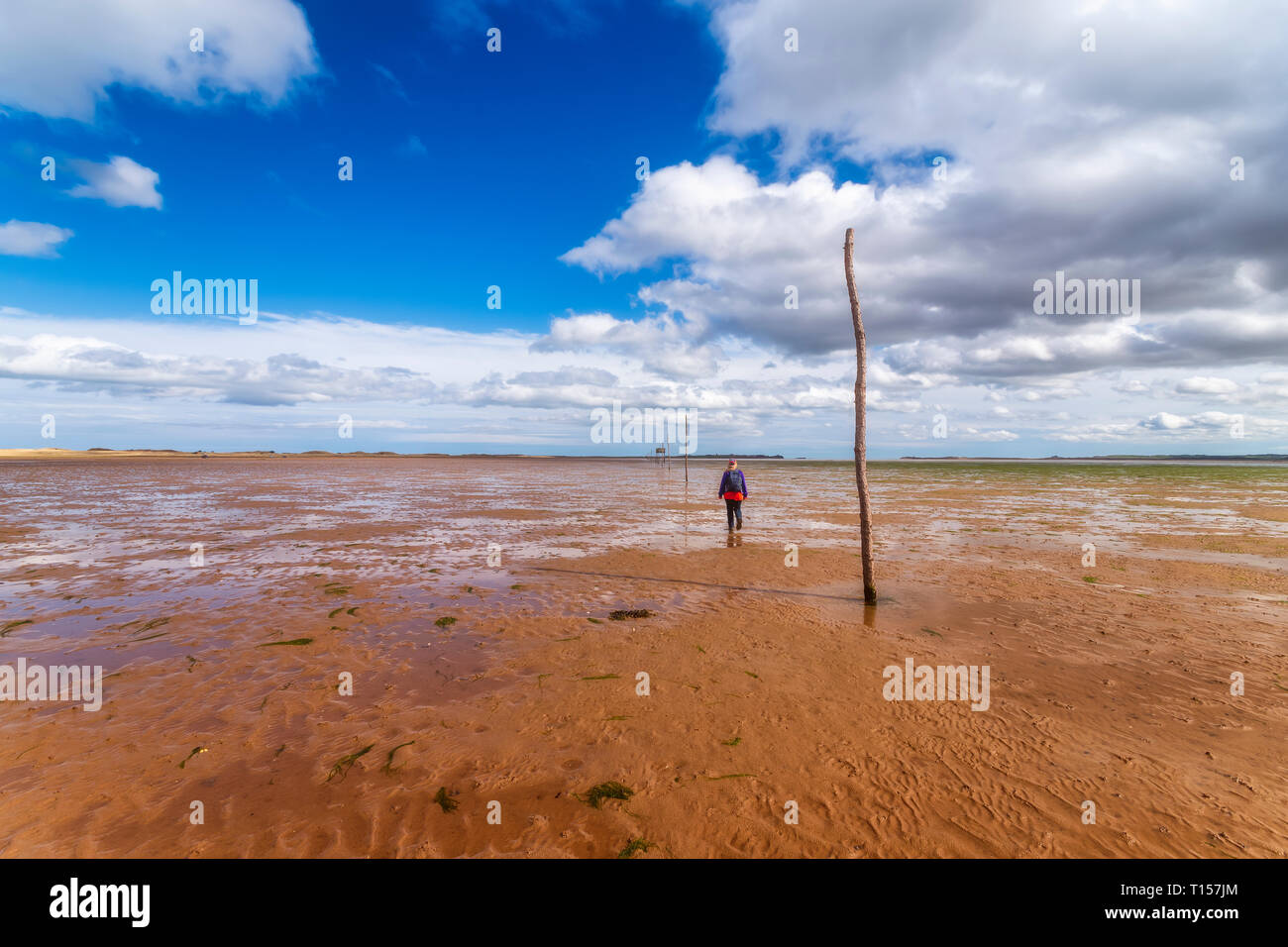 United Kingdom, Northumberland, posts marking the pilgrims' way ...