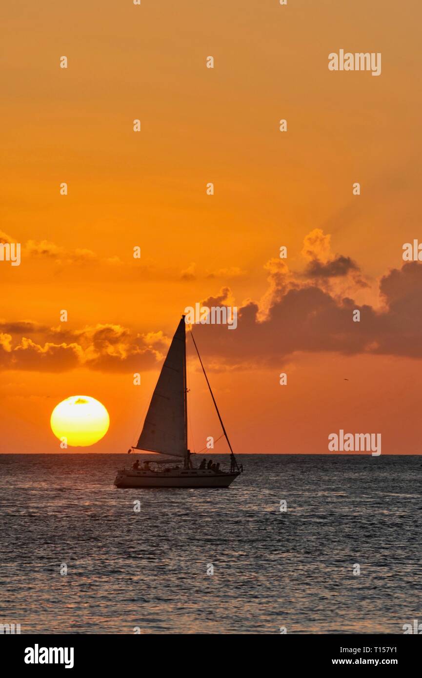 Sunset sail out in waters just off the docks and marina, at golden ...