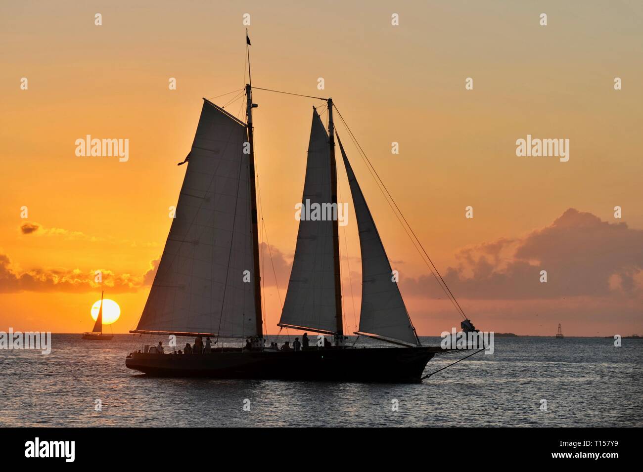 Sunset sail out in waters just off the docks and marina, at golden ...