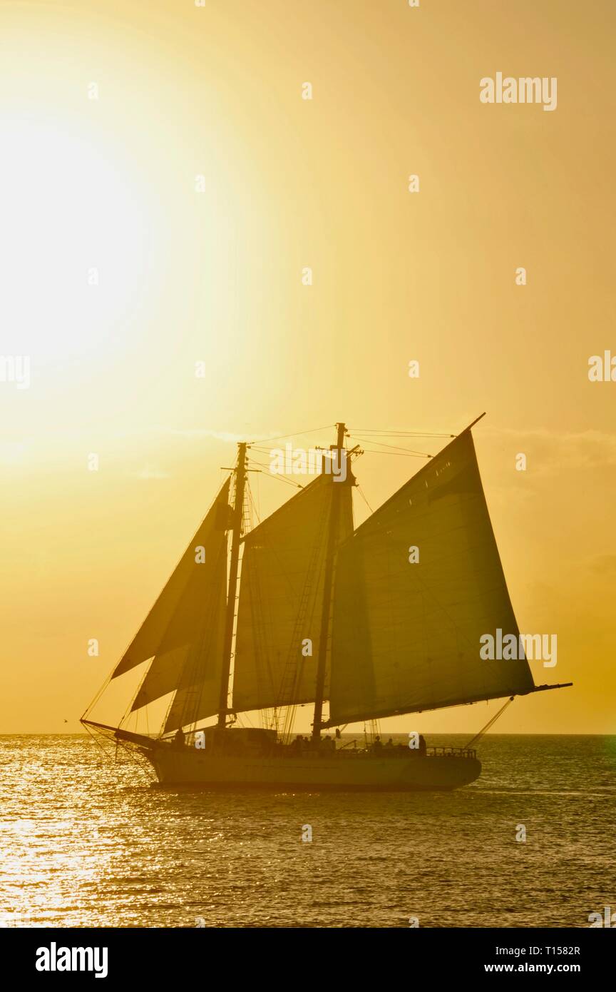 Sunset sail out in waters just off the docks and marina, at golden ...
