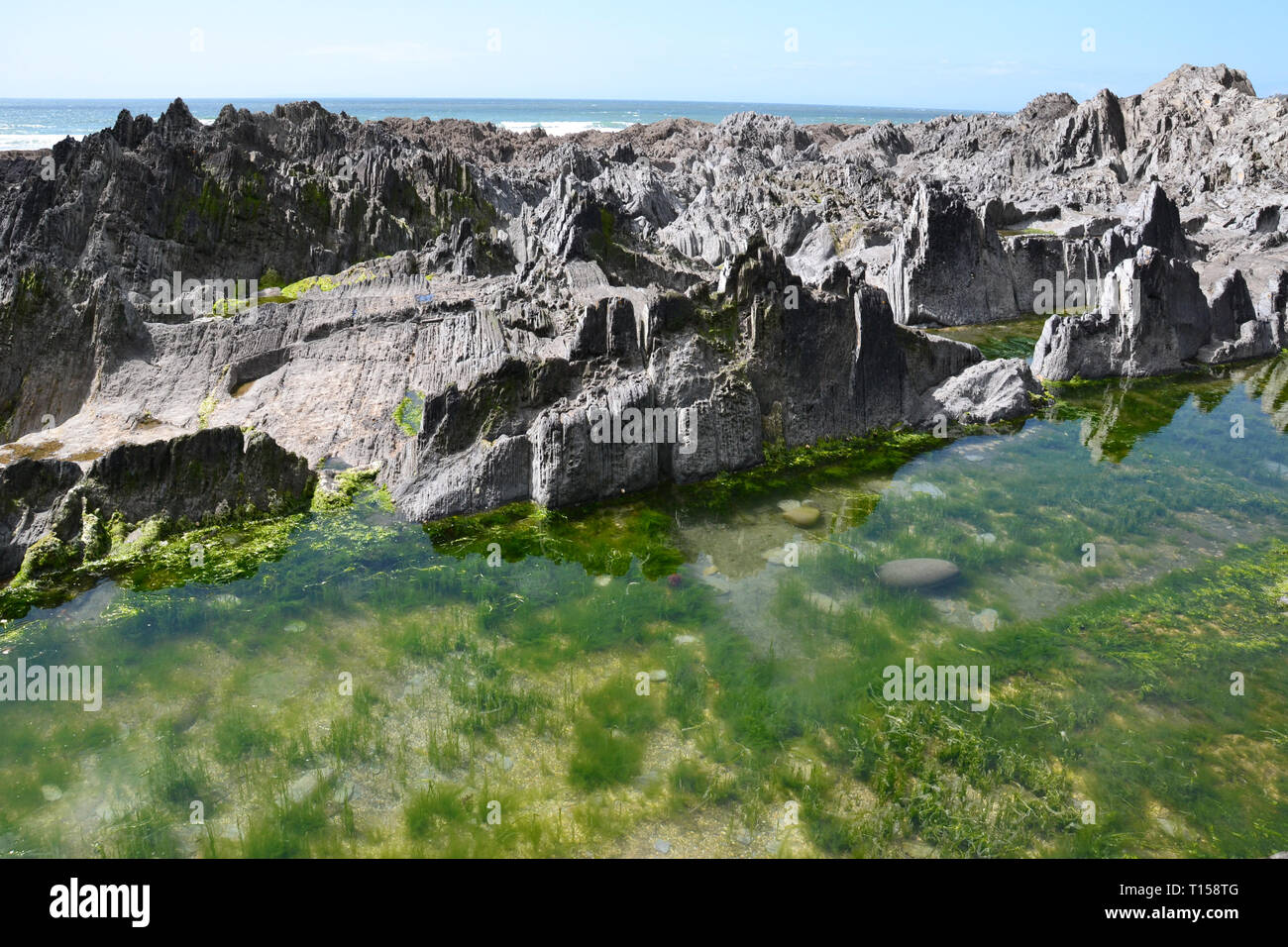Rock Pools on Woolacombe Beach, Woolacombe Bay, Devon, UK Stock Photo ...