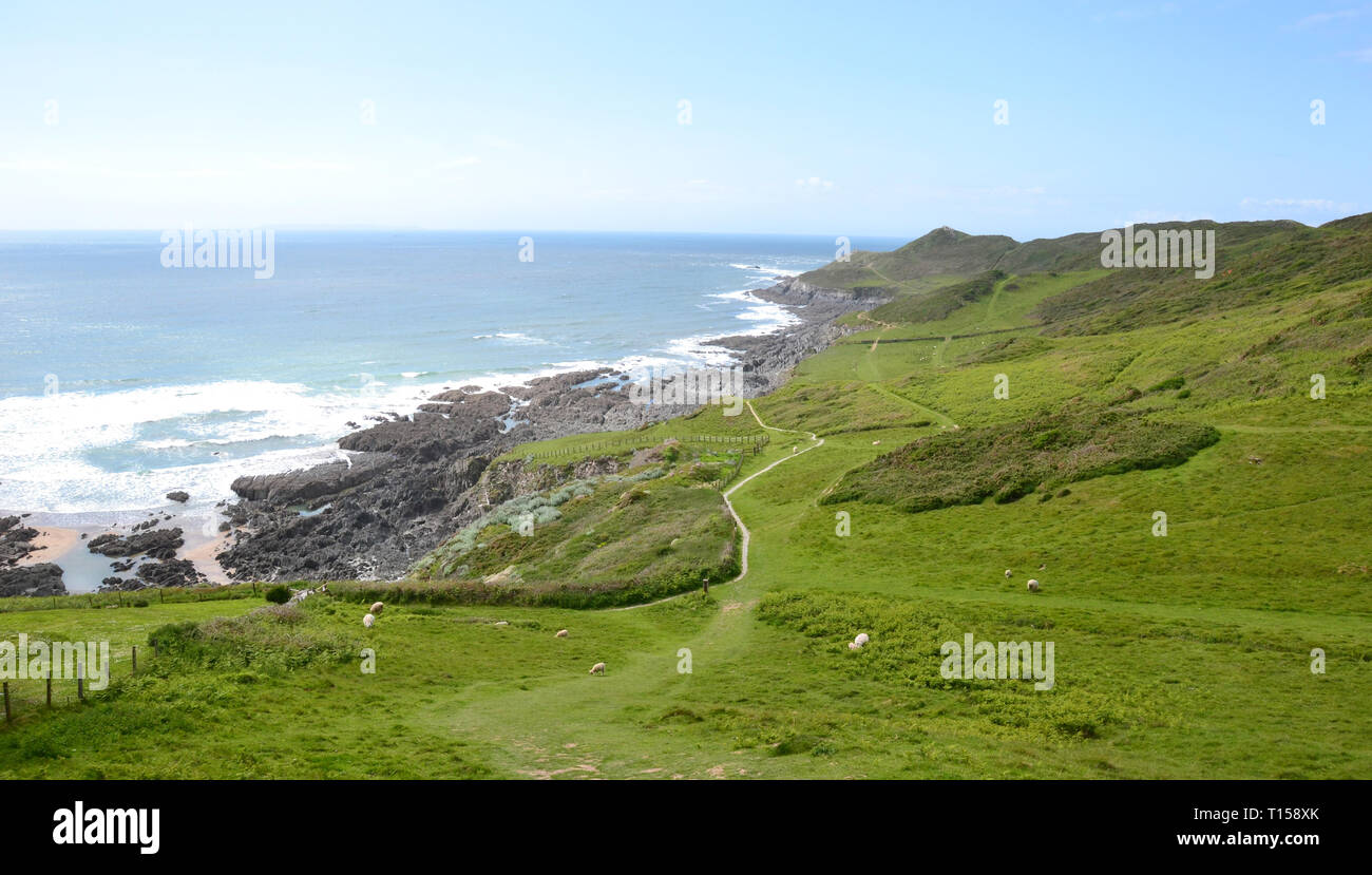 The South West Coast Path alongside Woolacombe Beach, Woolacombe Bay ...