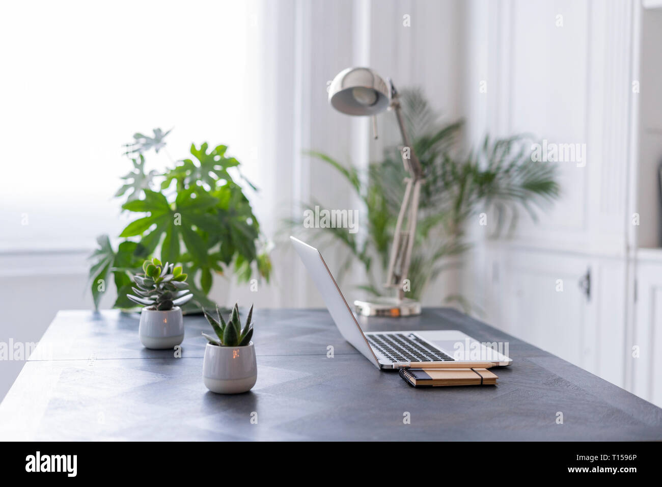 Interior of a modern coworking space Stock Photo - Alamy