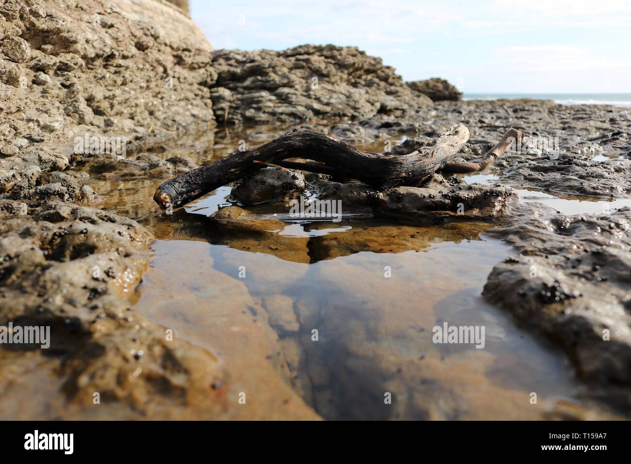 Reflection on a puddle of water Stock Photo - Alamy