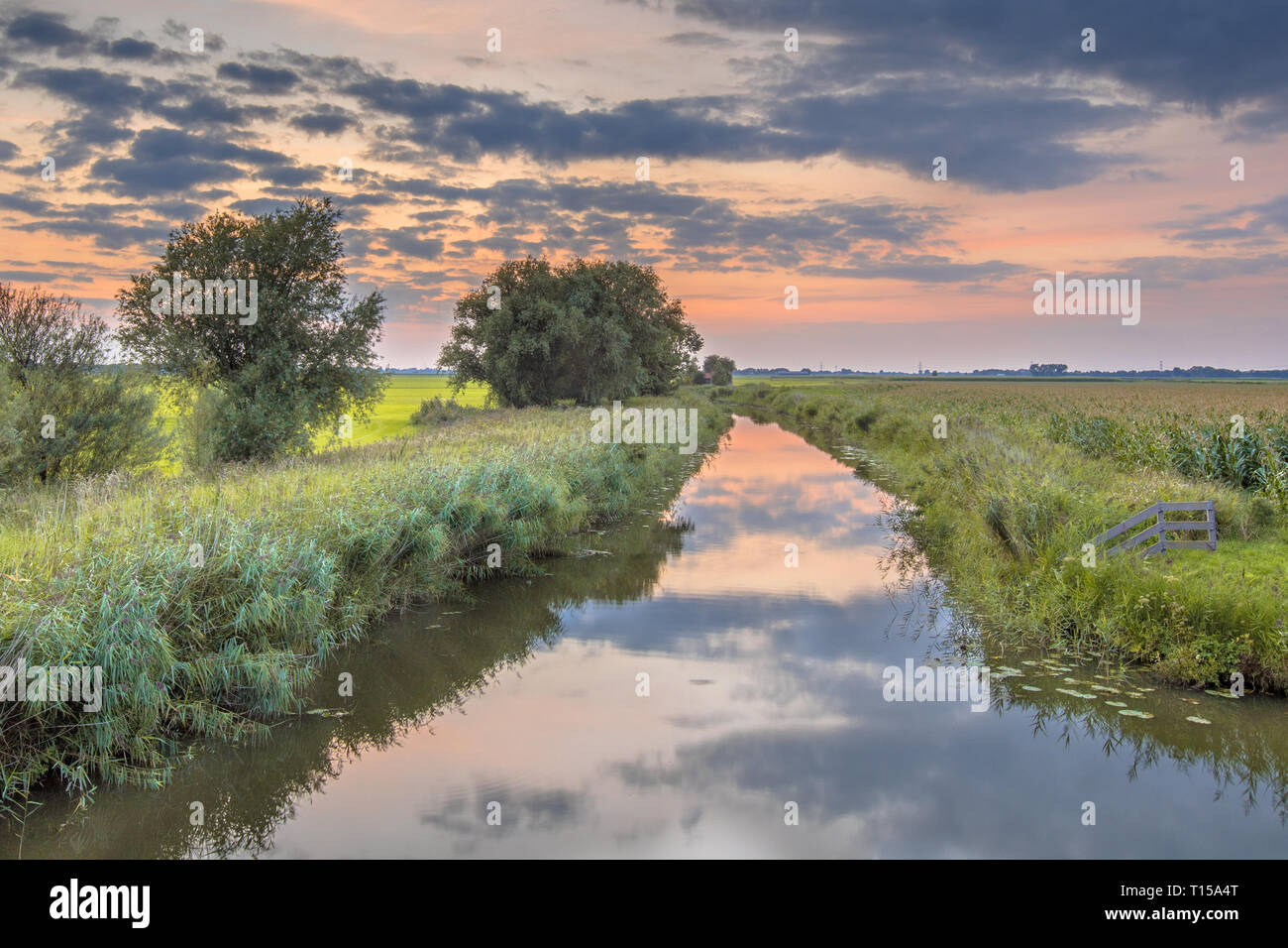 Canal in typical dutch agricultural landscape under colorful sunset sky ...