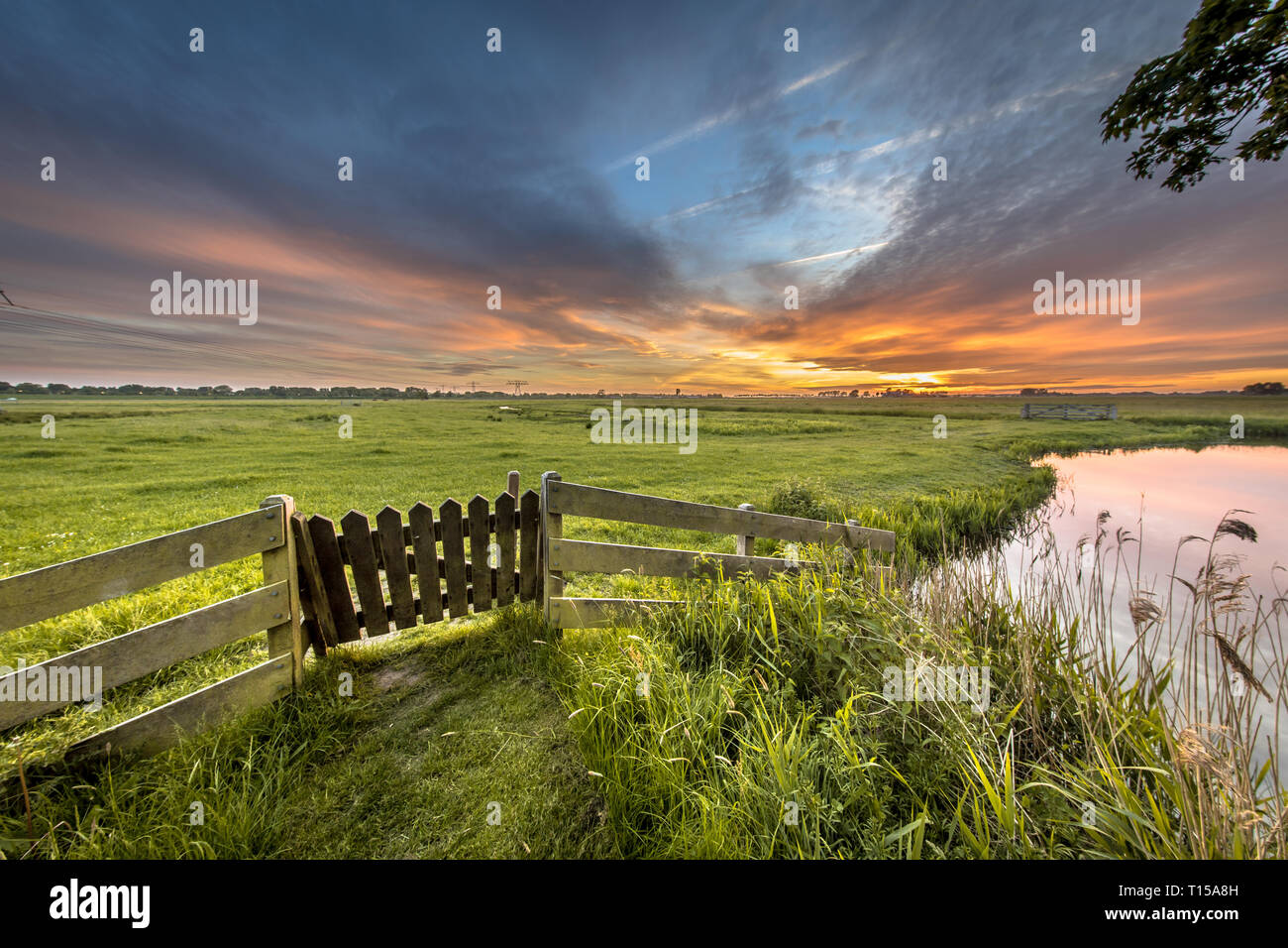Gate view of agricultural landscape of dutch countryside in Groningen ...