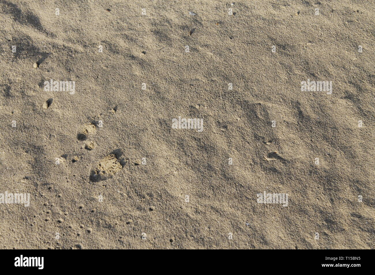 close up view beach sand background on the sea Stock Photo - Alamy