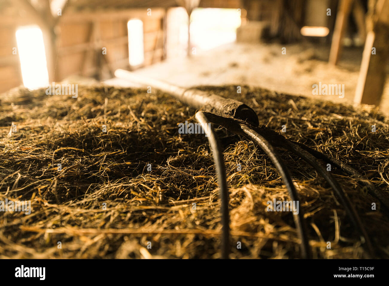 Dung fork lying on bale of straws in traditional farm barn Stock Photo ...
