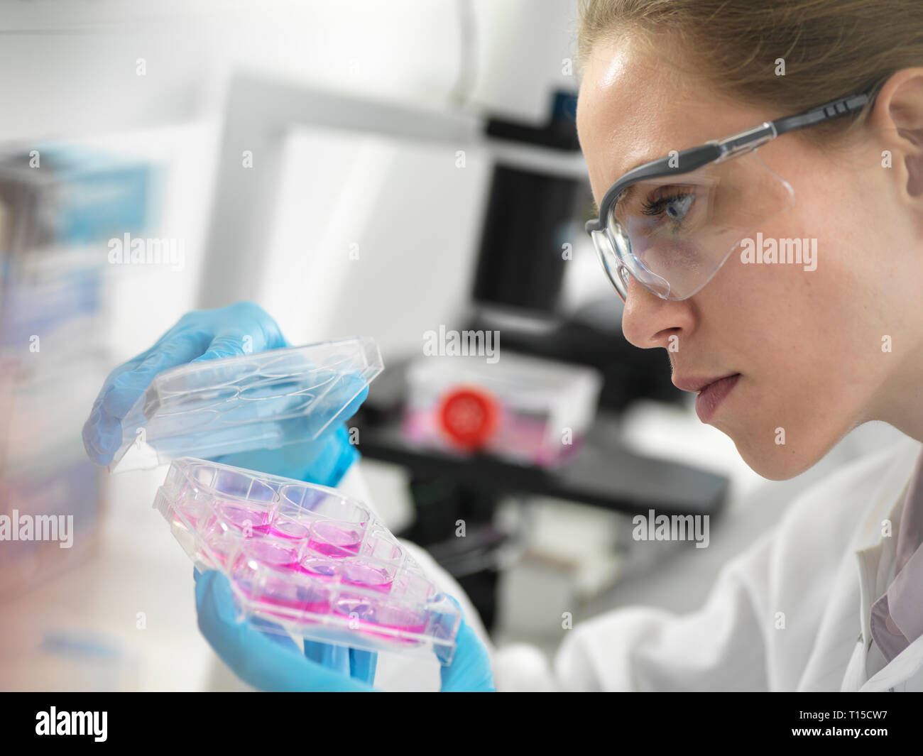 Multi cell hi-res stock photography and images - Alamy
