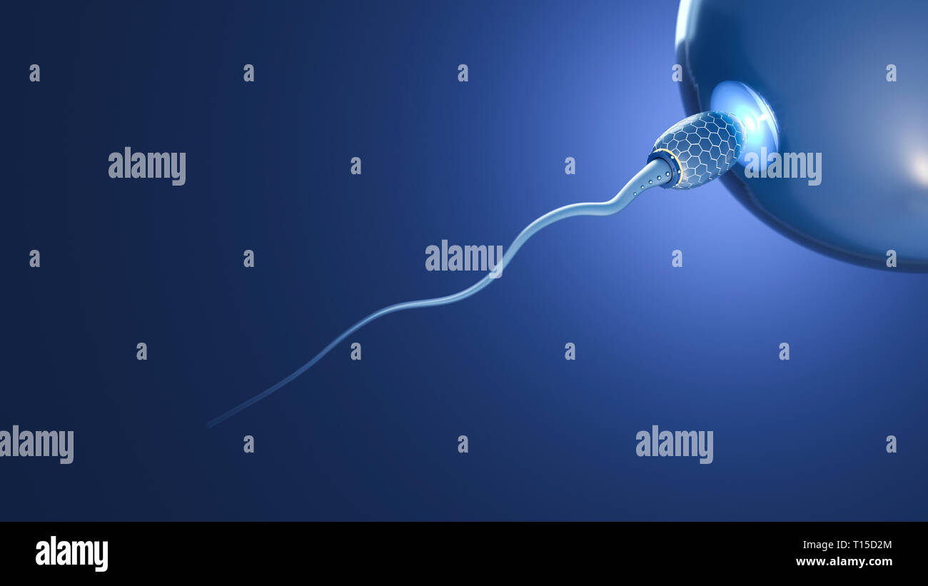 Futuristic sperm reaching egg cell, 3d rendering Stock Photo - Alamy