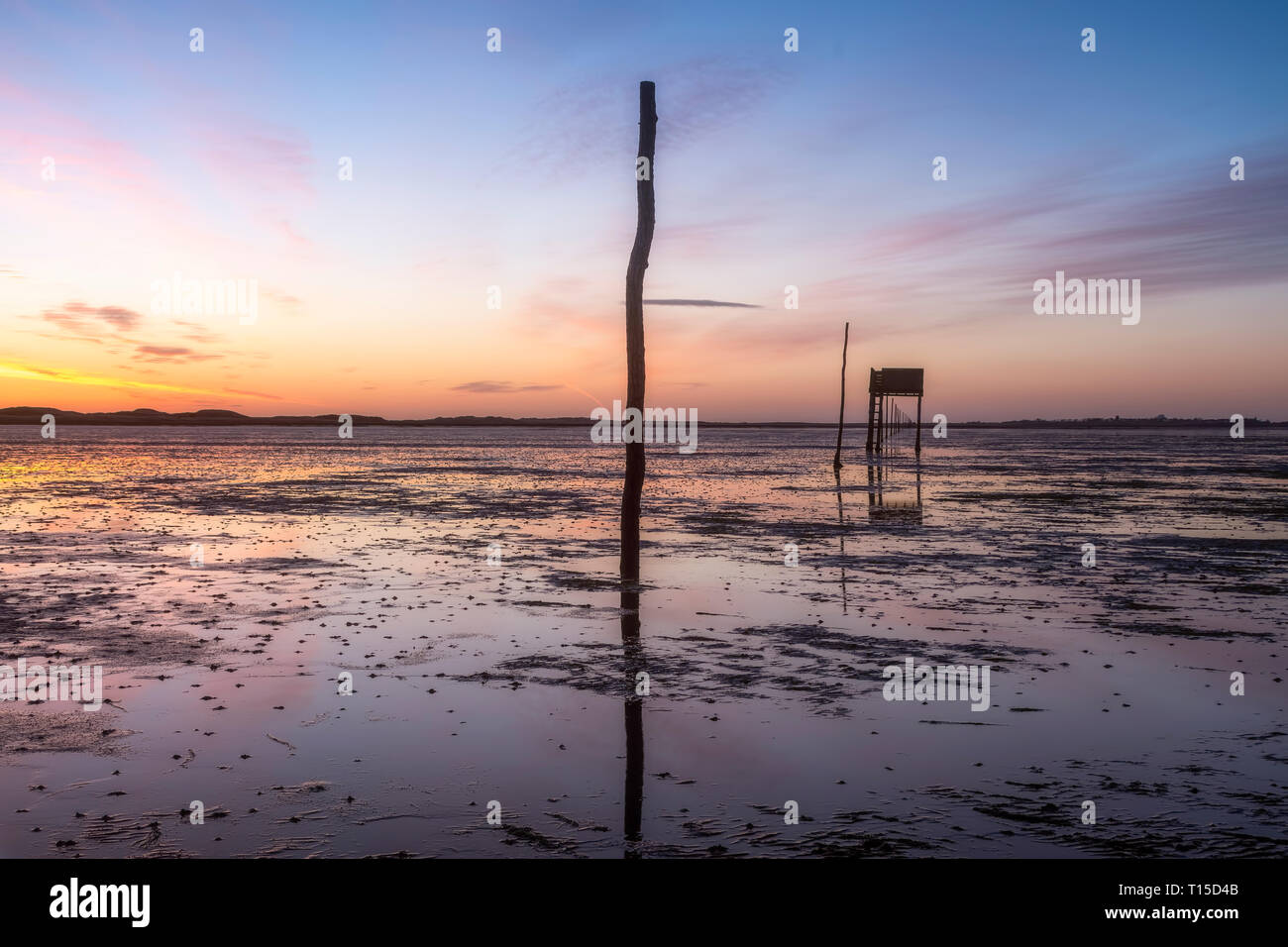 United Kingdom, England, Northumberland, posts marking the pilgrims ...